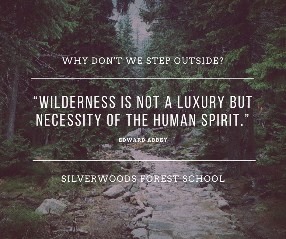 Silverwoods Forest School - Home